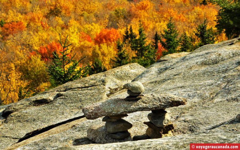 Été indien et couleurs d'automne : faites-vous l'erreur vous aussi